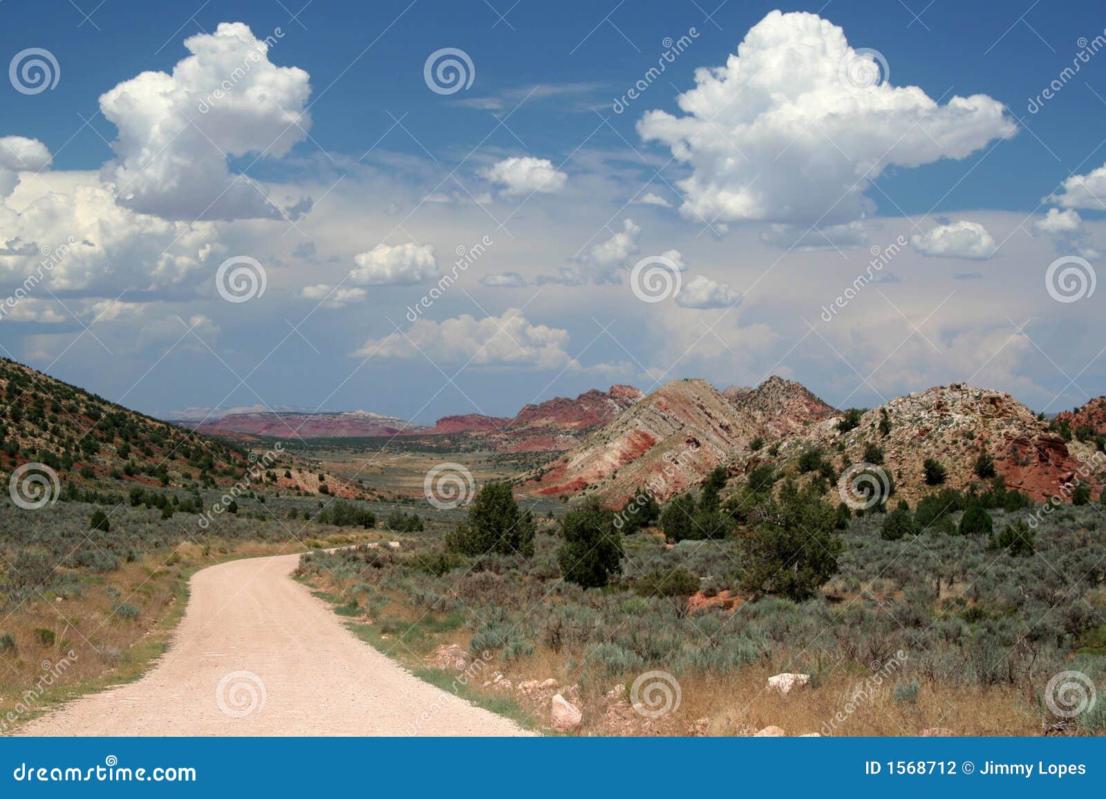 Remote Desert Dirt Road stock photo. Image of hiking, travel - 1568712