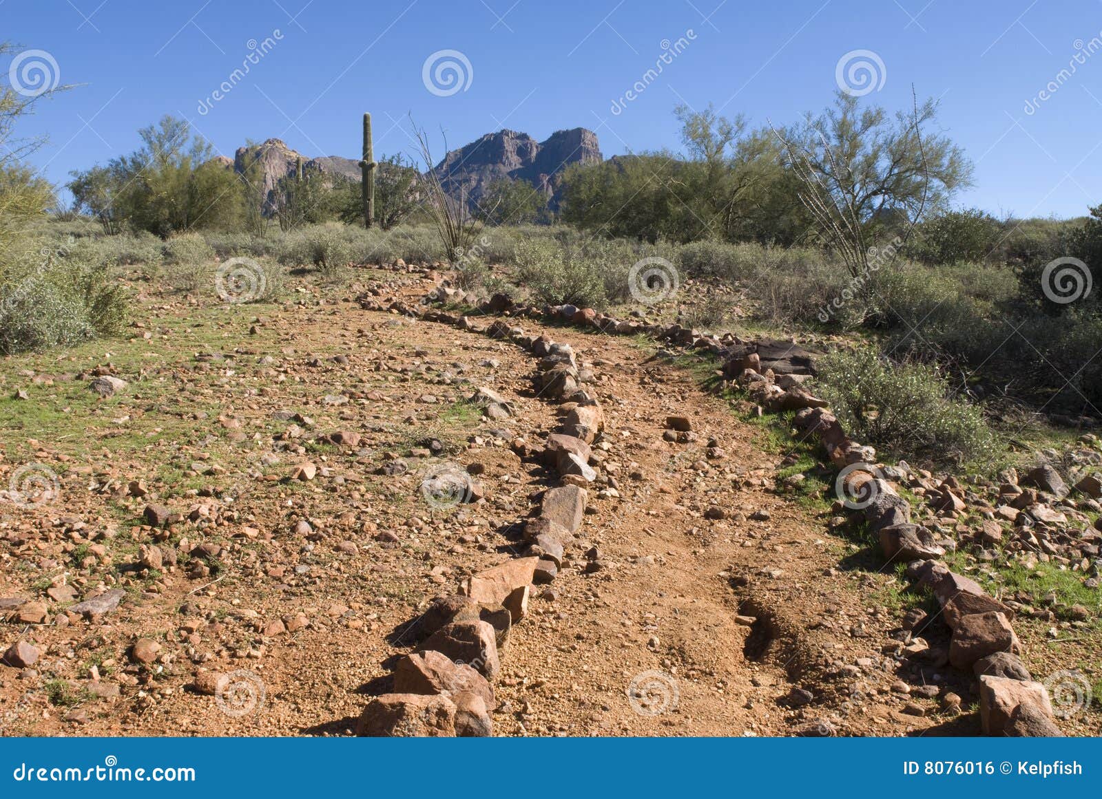 Remote desert trail stock photo. Image of rocks, desert - 8076016