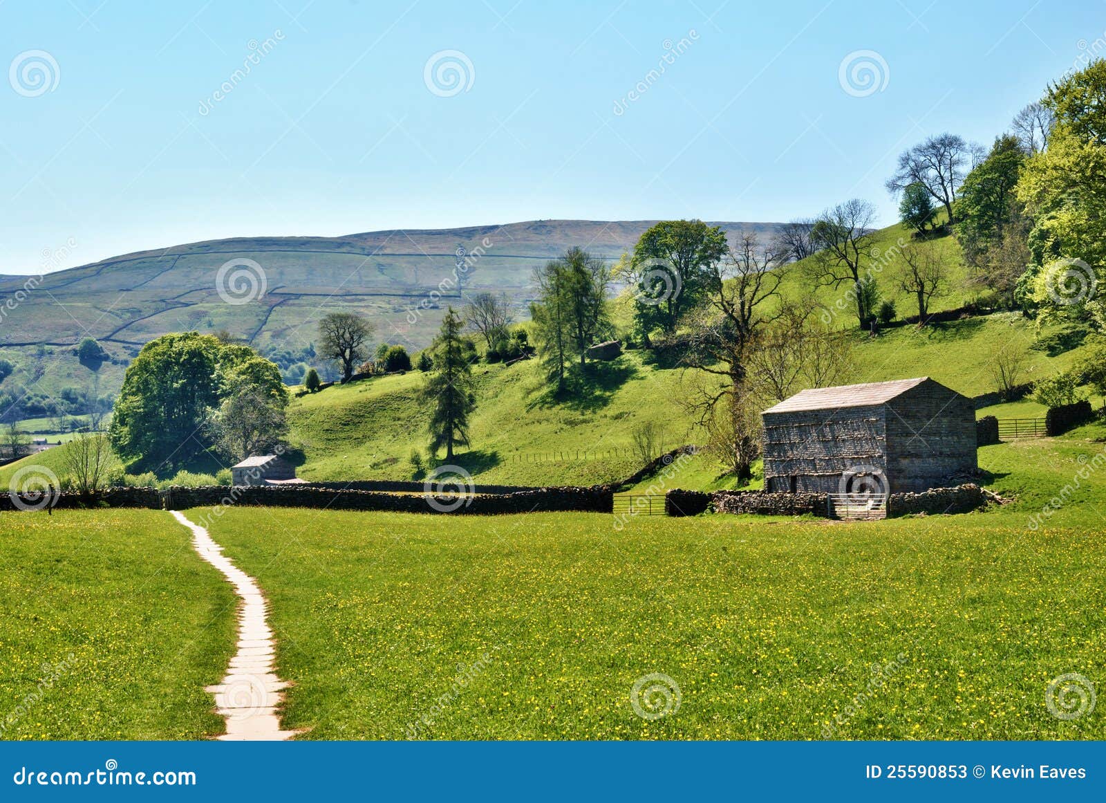 Farm Track Through Fruit Orchards In A Low Angle View Stock Photo ...