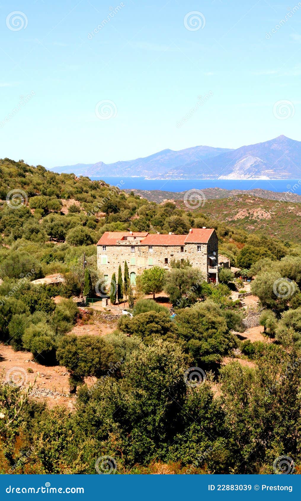Remote Farmhouse. stock image. Image of desert, olive - 22883039