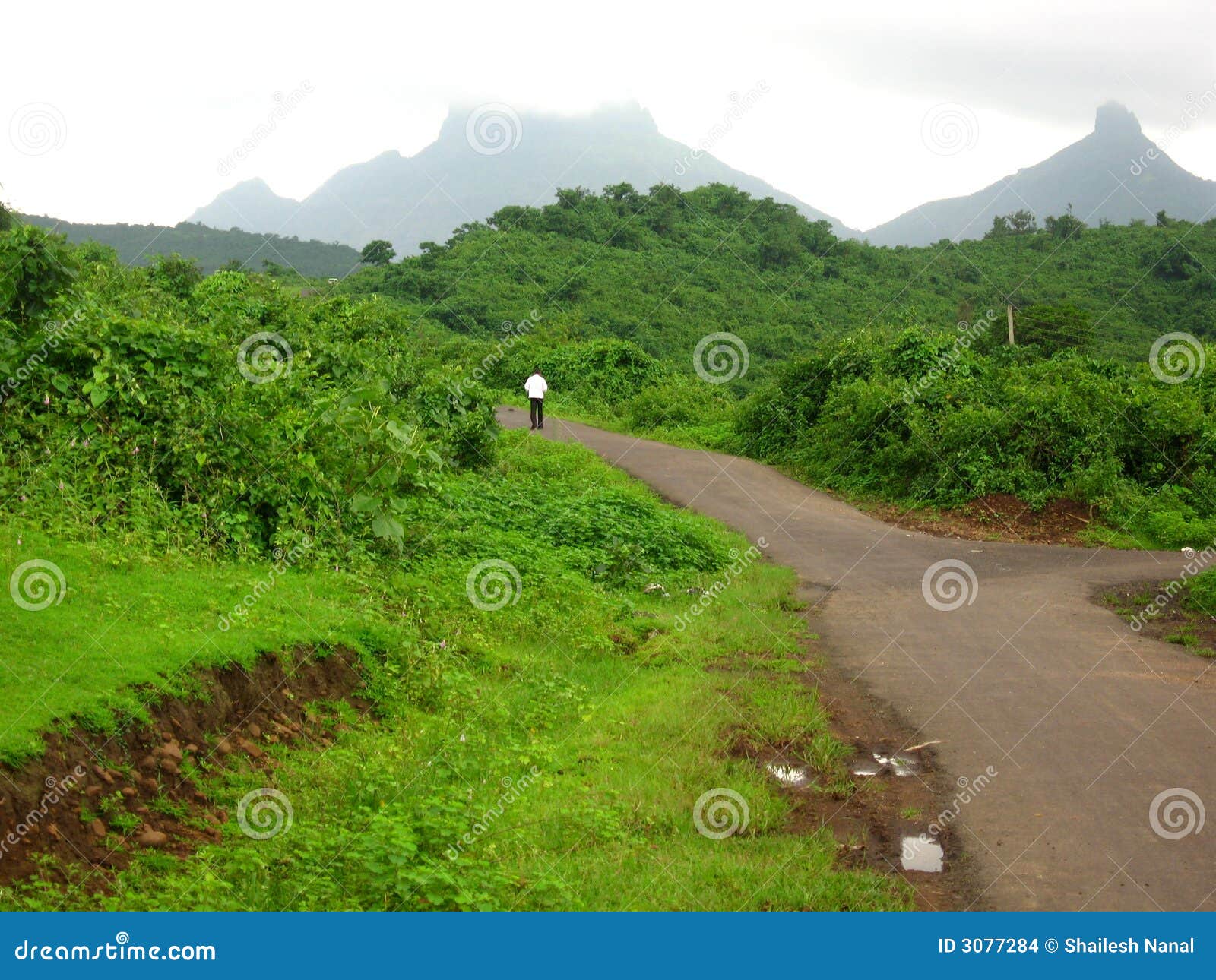 Remote hillside road stock photo. Image of peaks, pavement - 3077284