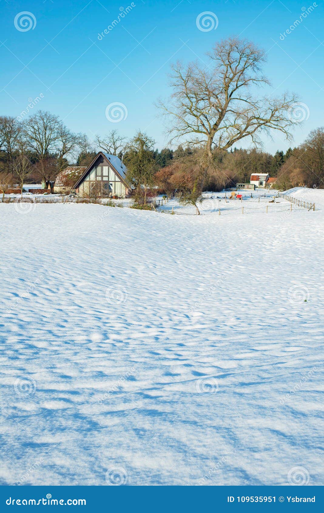 Remote Home in Rural Snowy Landscape with Blue Sky. Stock Image - Image ...