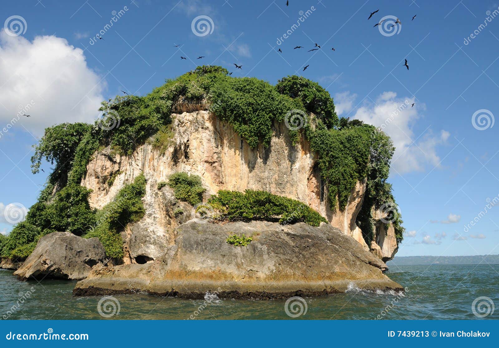 Remote island stock image. Image of roick, habitat, preserve - 7439213