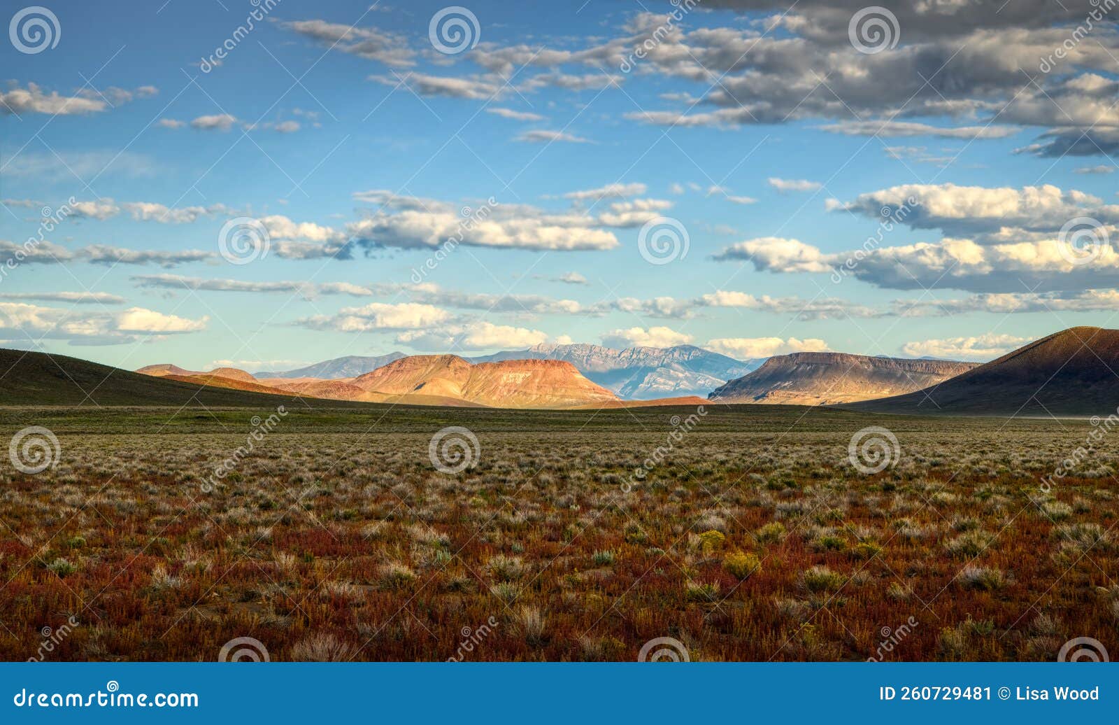 Remote Lunar Crater Area Nevada Stock Image - Image of crater, volcanic ...