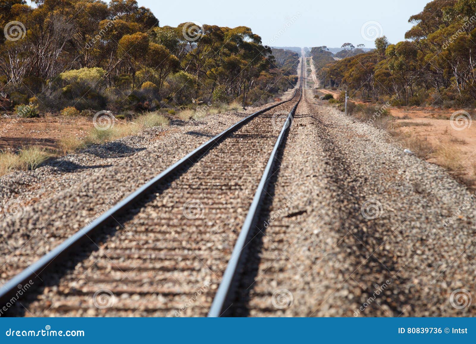 Remote Railroad in Australian Bush Stock Photo - Image of rail, aussie ...