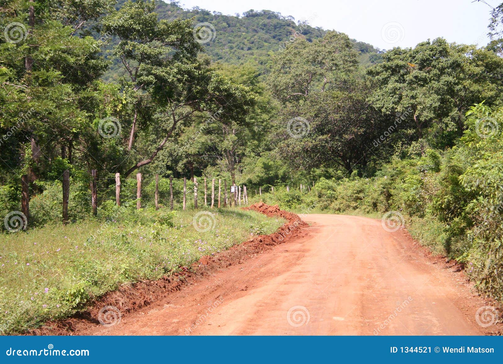 Remote road stock image. Image of warm, jungle, travel - 1344521