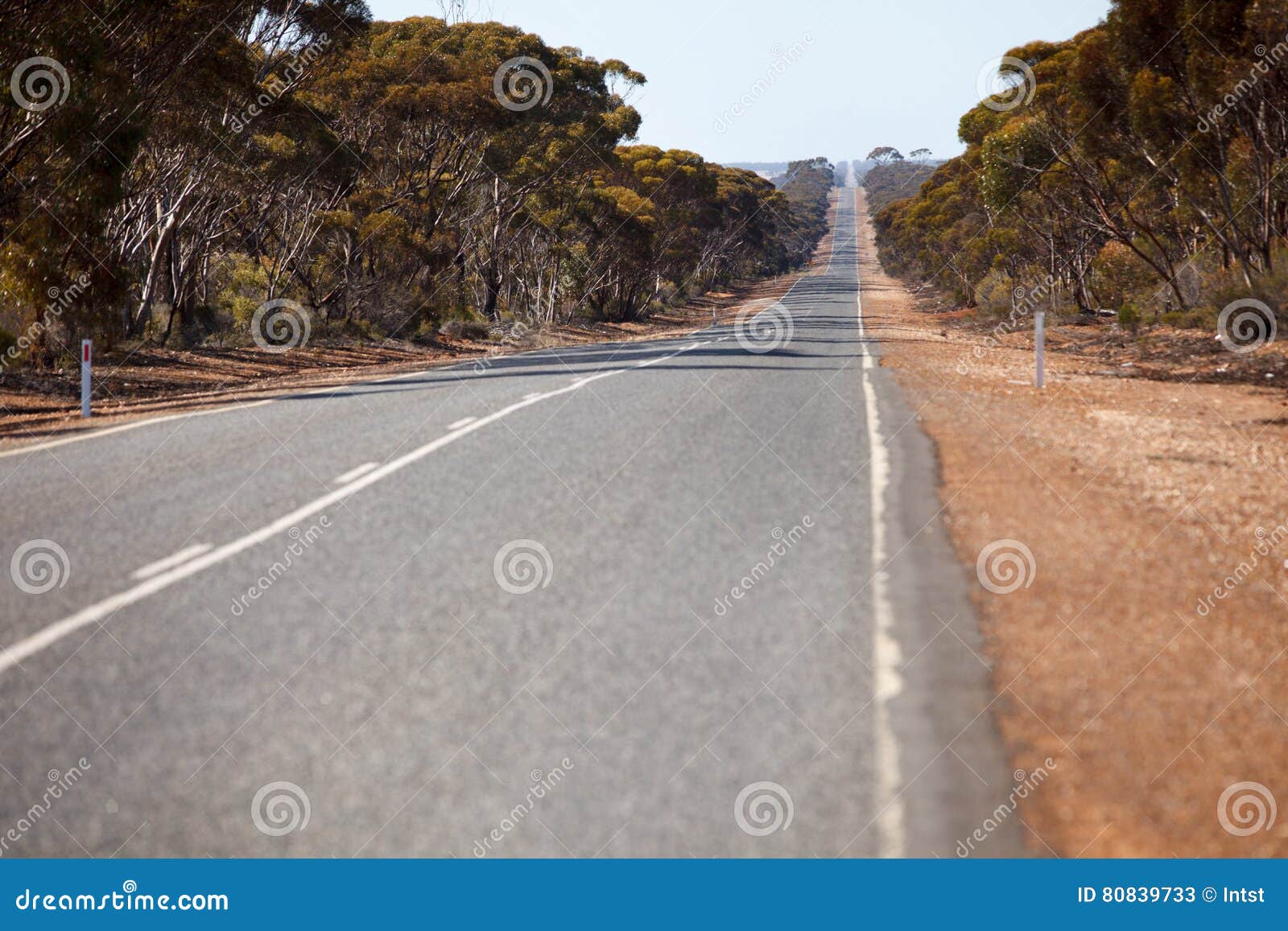 Remote Road in Australian Bush Stock Image - Image of remote, outback ...