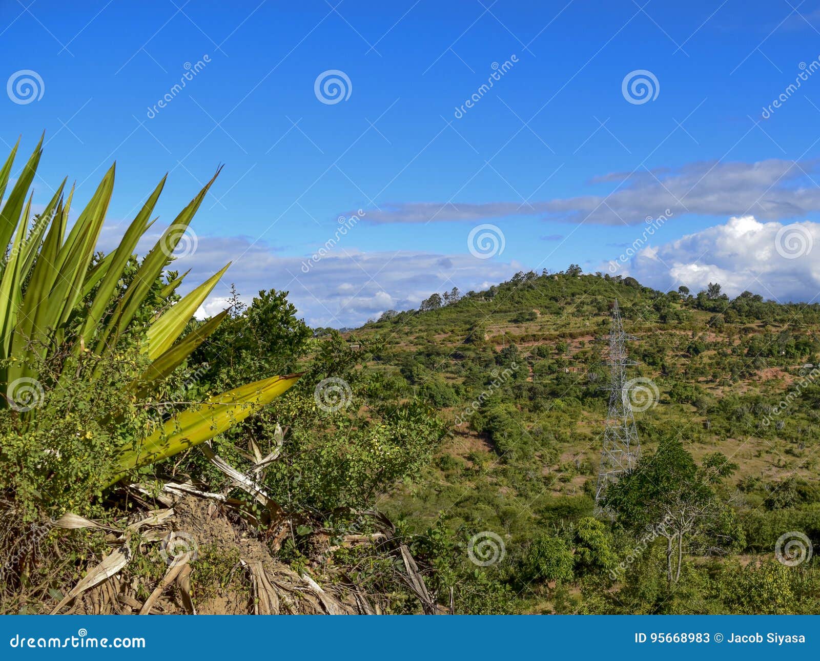 Remote stock image. Image of construction, remote, transmission - 95668983