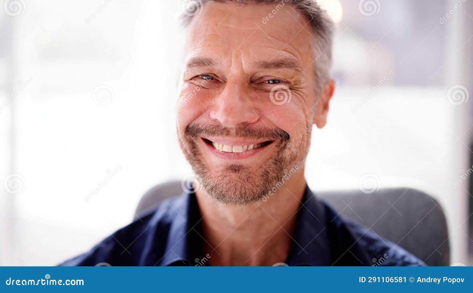 Remote Video Conference Interview Portrait Stock Image - Image of ...