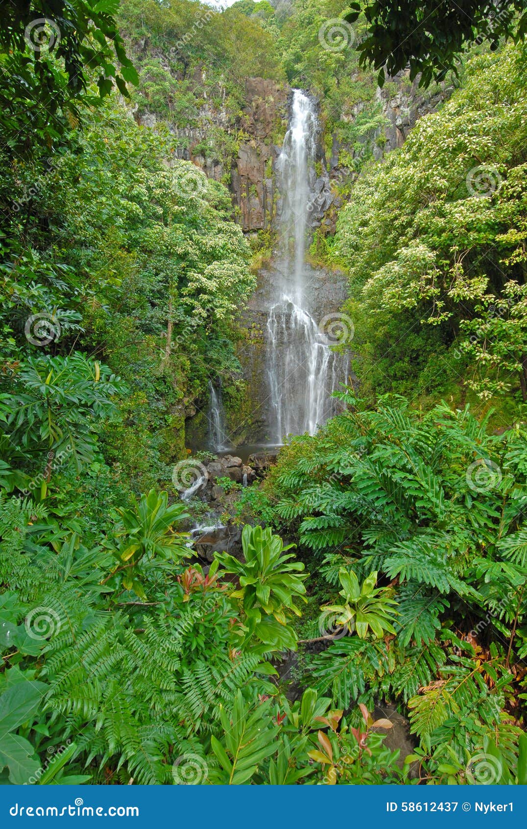 Remote Waterfall in Rainforest in Hawaii Stock Image - Image of high ...