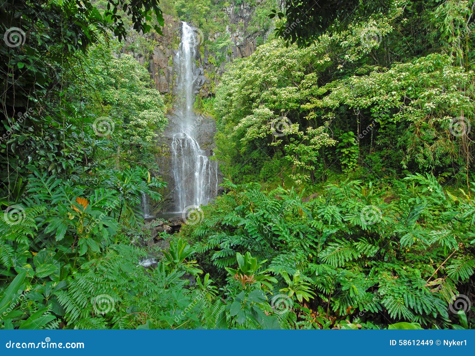 Remote Waterfall in Rainforest in Hawaii Stock Image - Image of ...