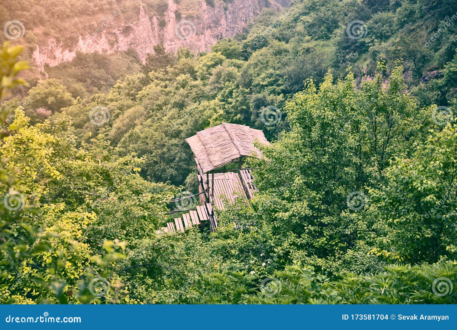 Remote Wooden Tree House in the Forest Stock Photo - Image of home ...