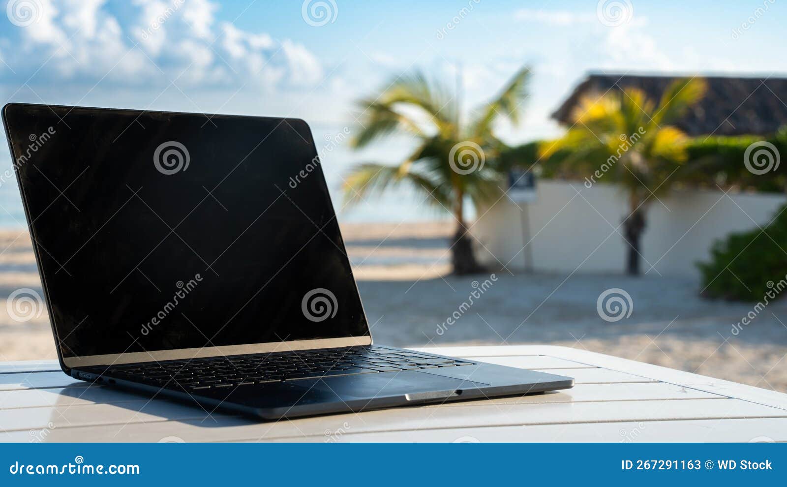 Remote Working with Laptop on a Beach Stock Image - Image of scene ...