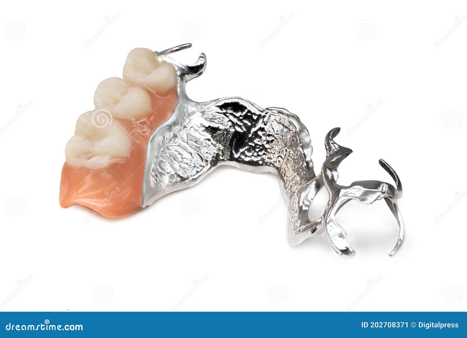 Removable Partial Denture stock image. Image of dentures - 202708371