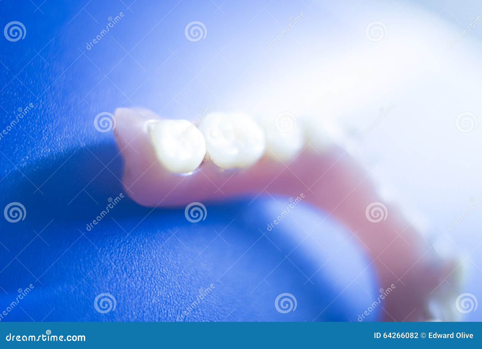 Removable partial dentures stock photo. Image of artificial - 64266082