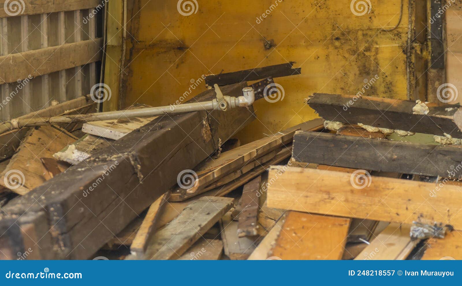 Removal of Construction Debris. Loading the Garbage Can Waste ...