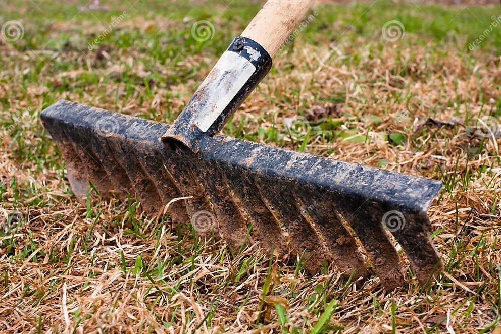 Removal of the Old Grass with Rake Stock Image - Image of land, remove ...