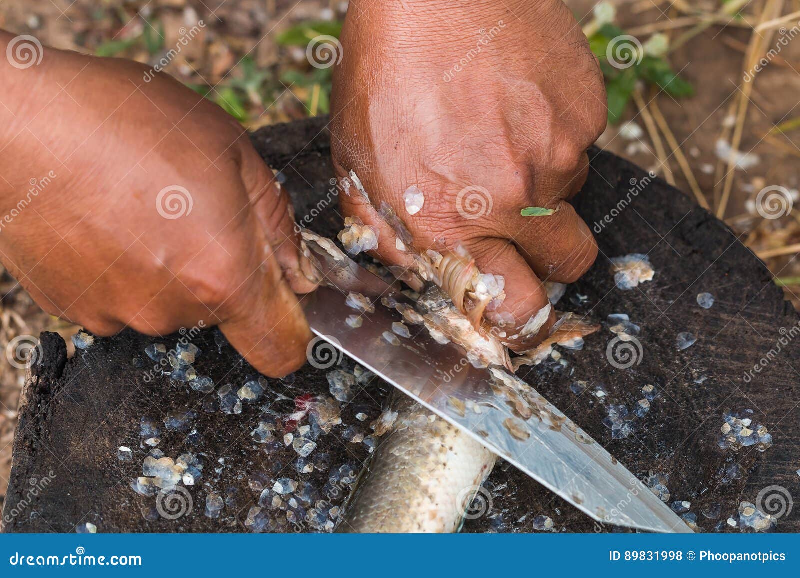 Remove fish scale stock photo. Image of remove, moveing - 89831998