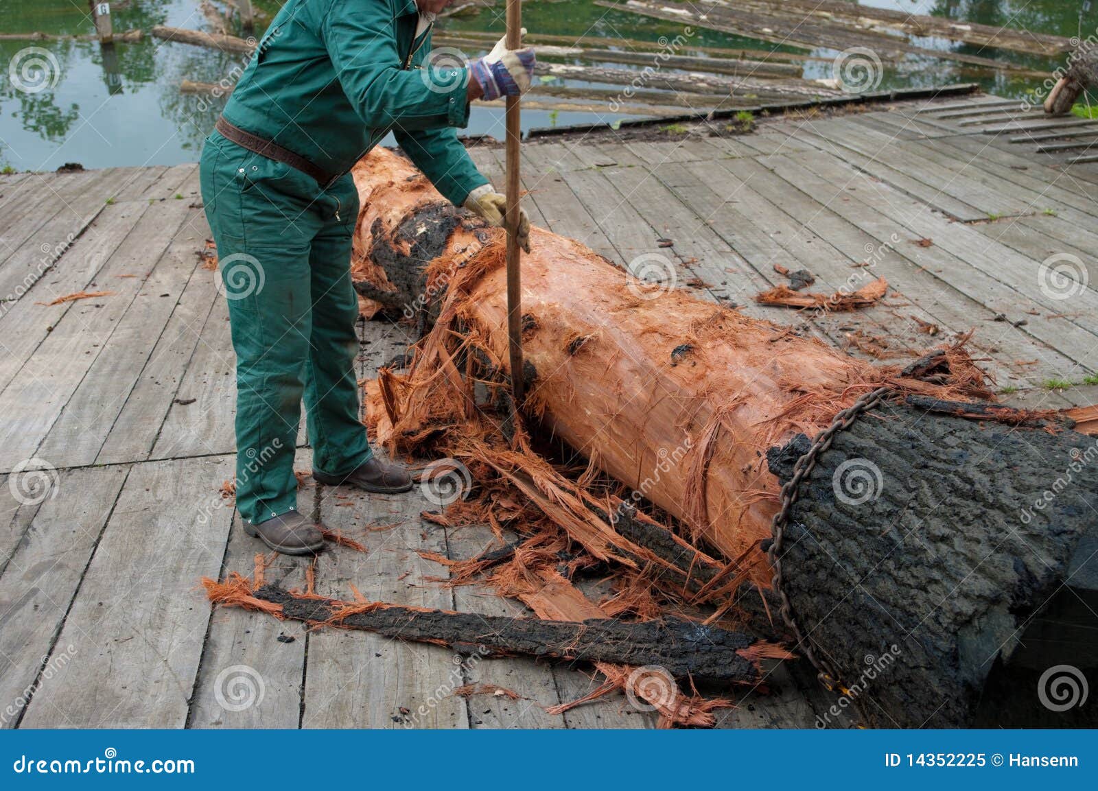 Removing bark stock image. Image of bark, sawmill, cutting - 14352225
