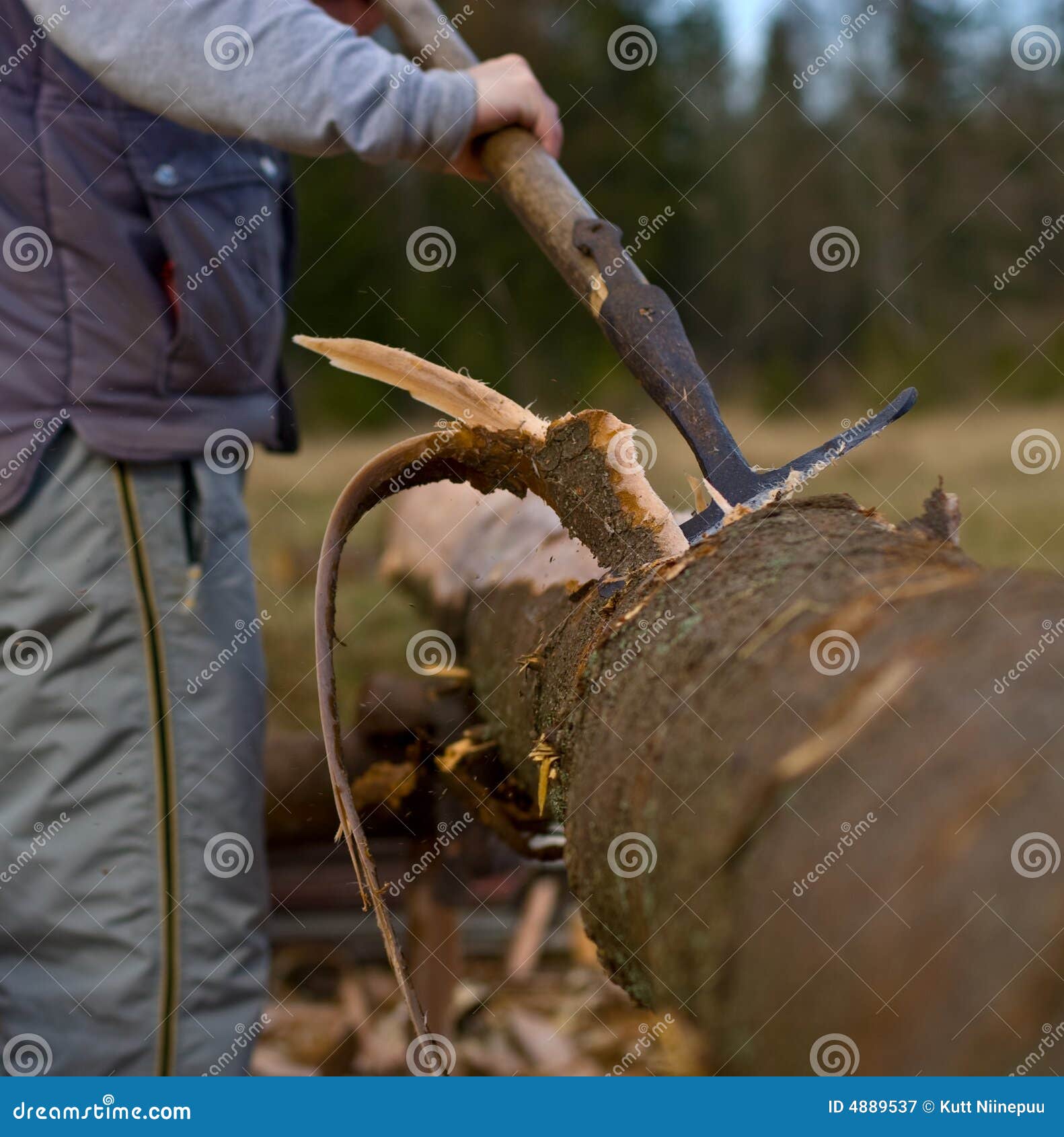 Removing bark from logs stock image. Image of hands, labourer - 4889537