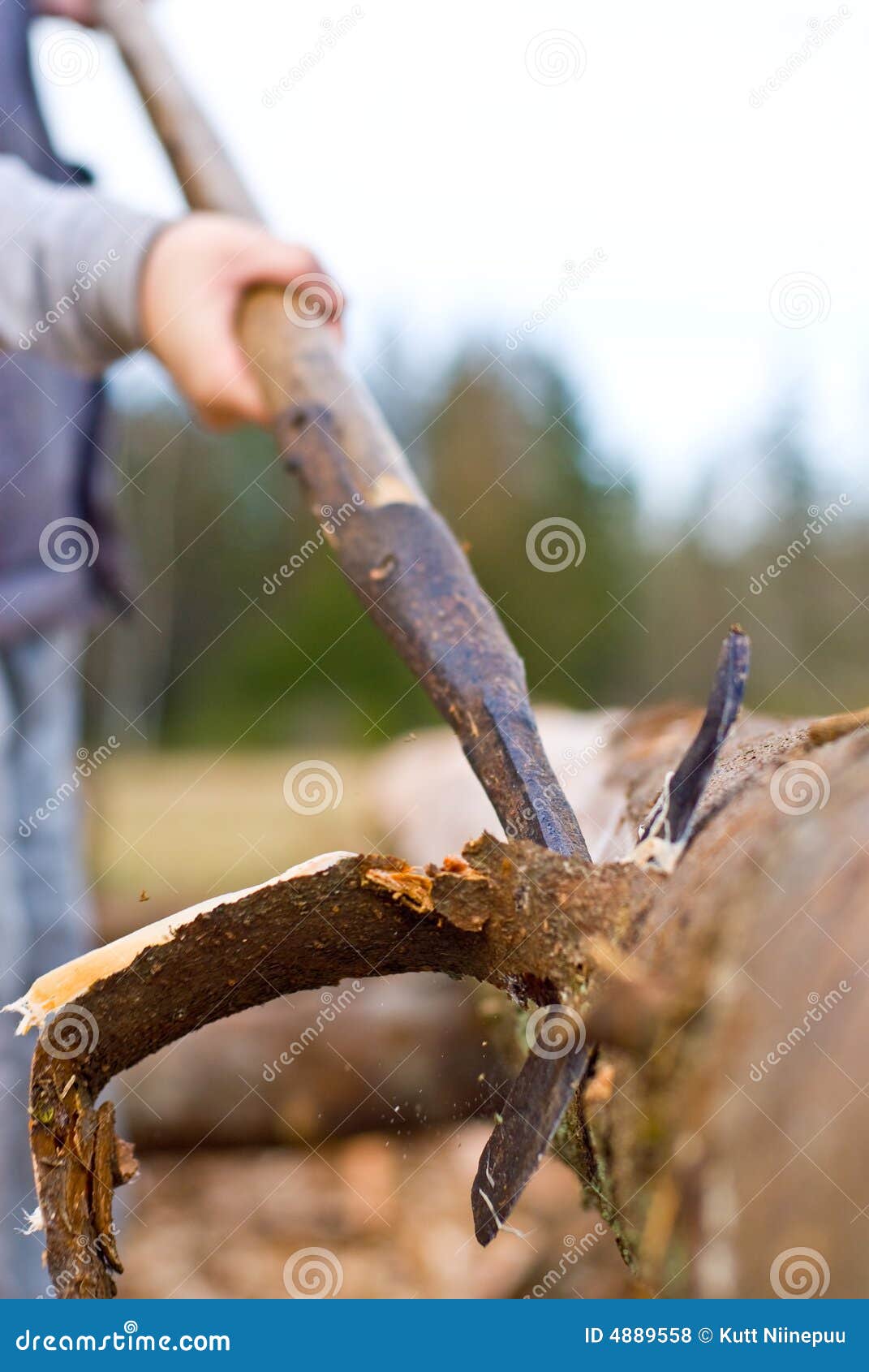 Removing bark from logs stock photo. Image of hard, timber - 4889558