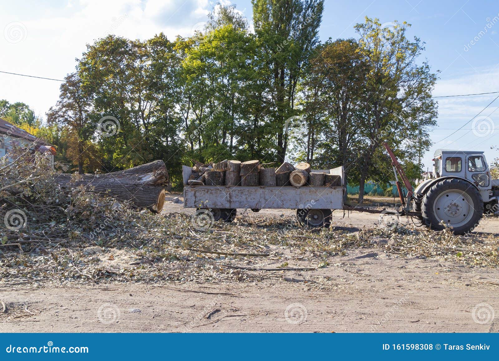 Removing Fallen Tree with Tractor and Loader Stock Photo - Image of ...
