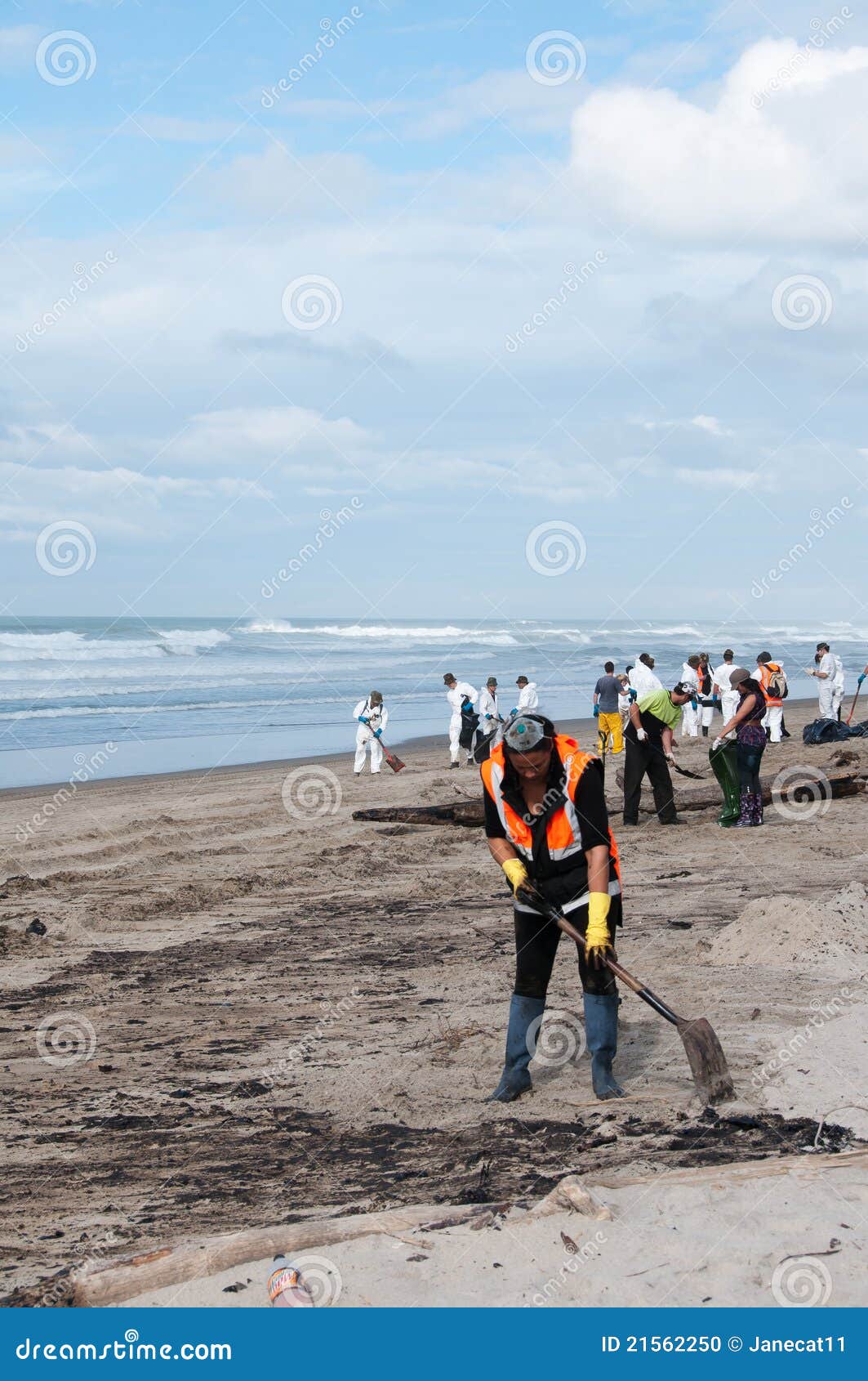 Rena Oil Spill Clean Up Workers Editorial Image - Image of vessel ...