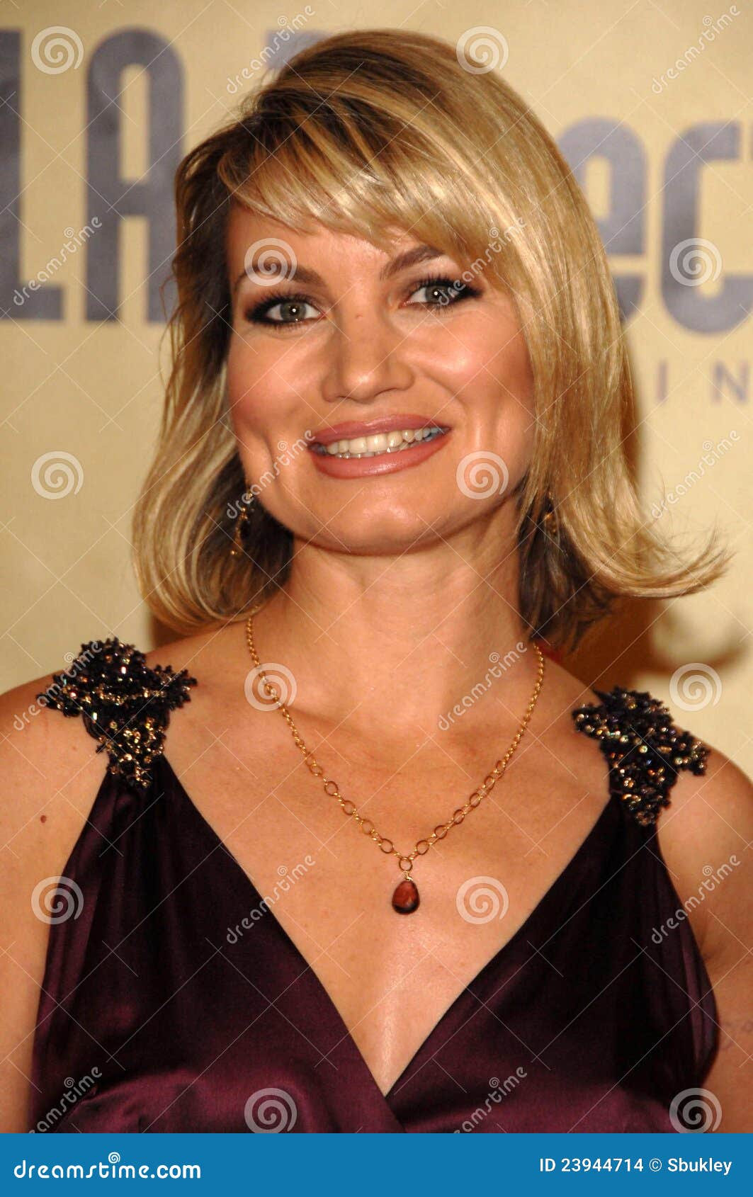 Rena Riffel editorial stock image. Image of charities - 23944714