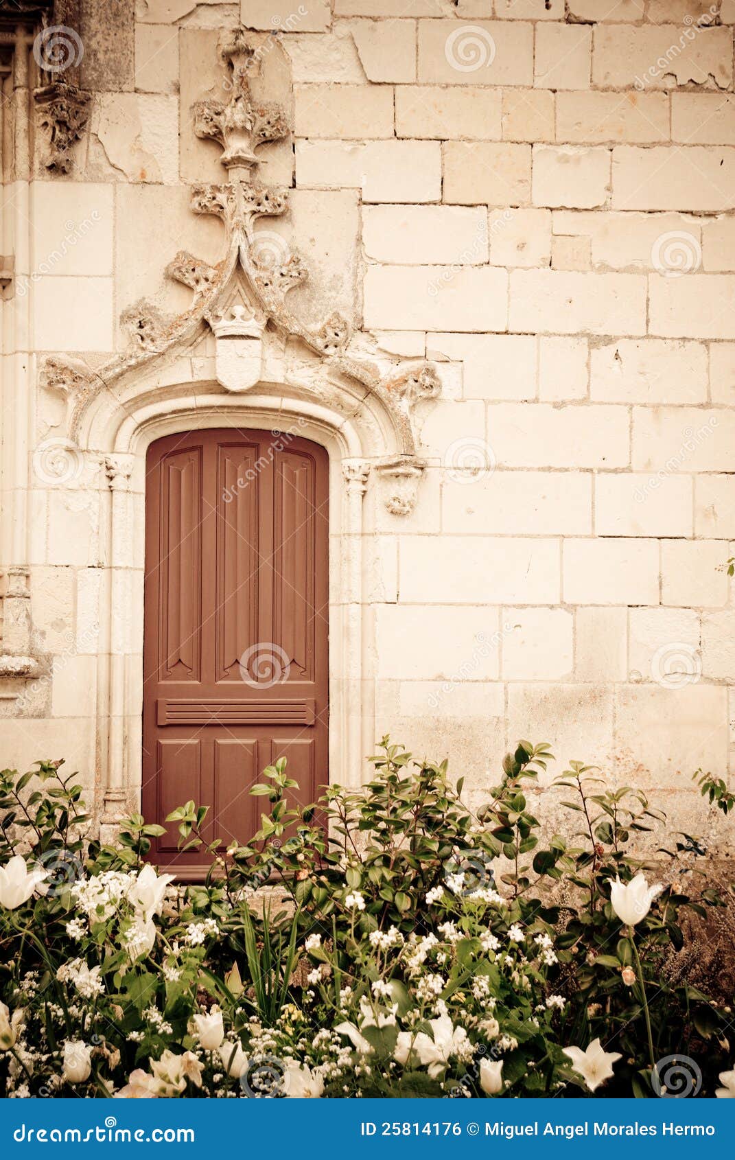 Renaissance door stock photo. Image of palace, door, architecture ...