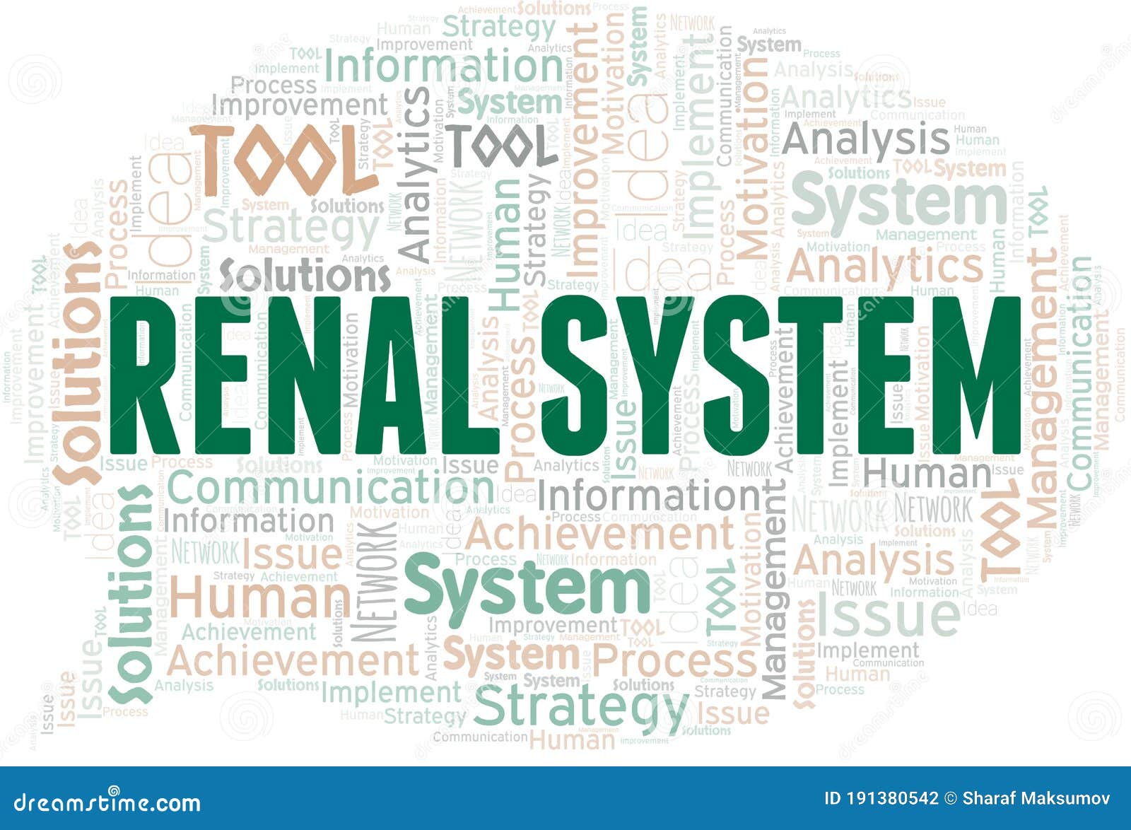 Renal System Typography Vector Word Cloud. Stock Vector - Illustration ...