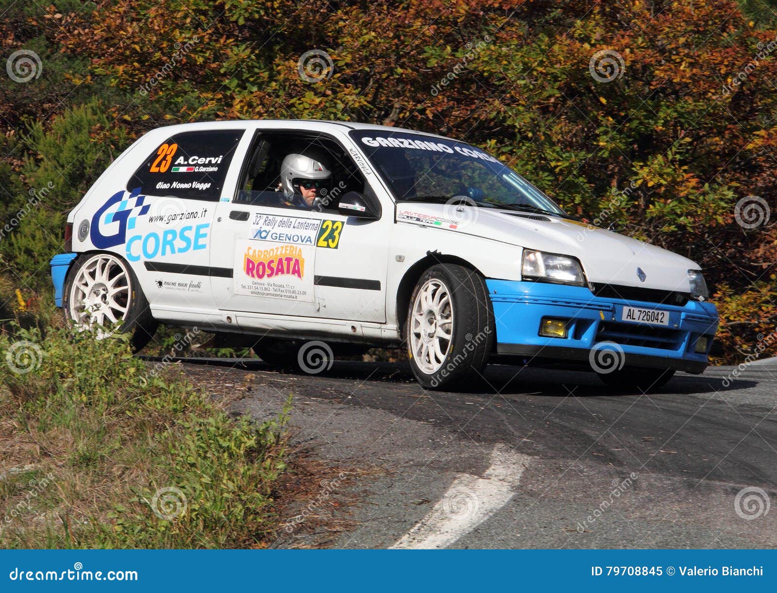 A Renaul Clio Williams Rally Car Goes Off The Road During A Speed Test ...