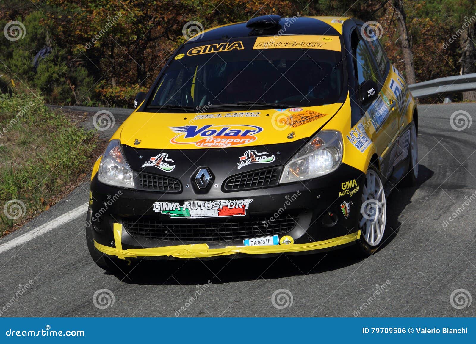 A Renaul Clio Williams Rally Car Goes Off The Road During A Speed Test ...
