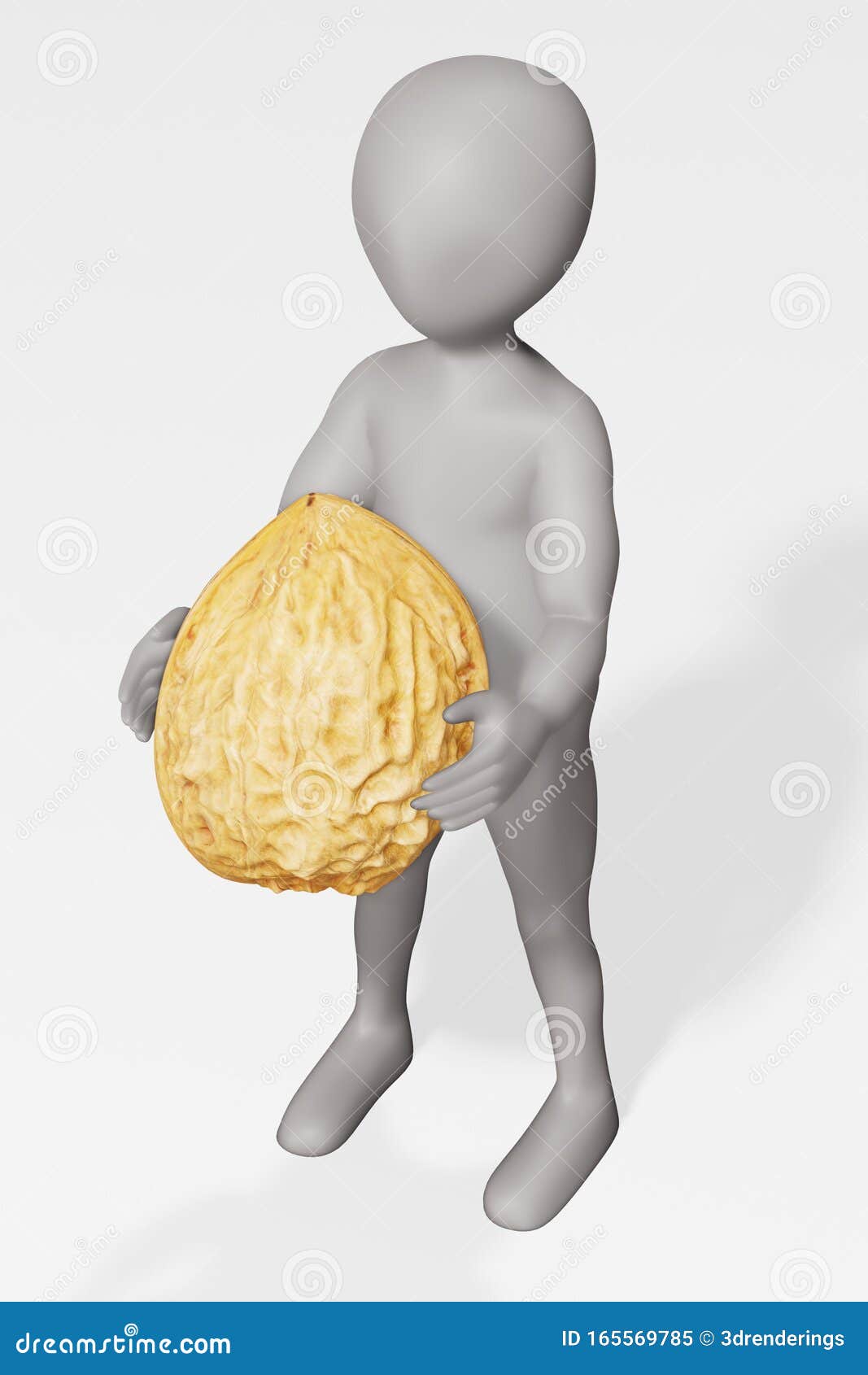 Render of Cartoon Character with Walnut Stock Illustration ...