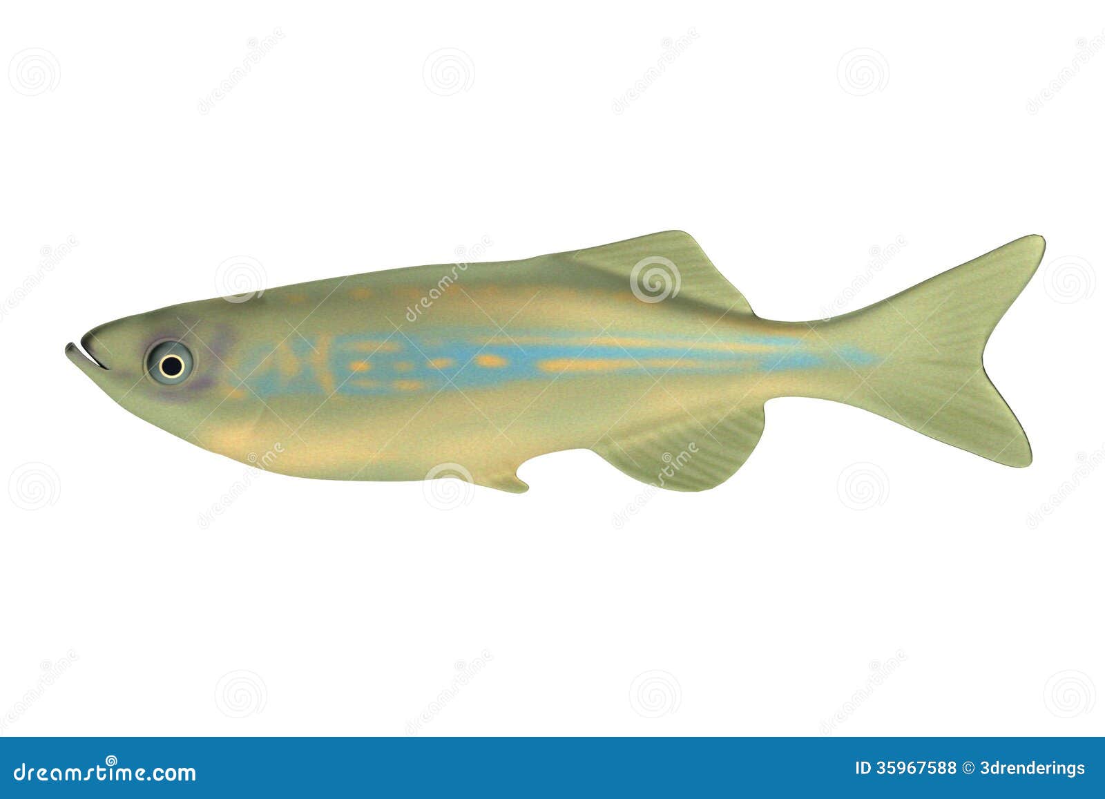 Render of fish stock illustration. Illustration of ocean - 35967588