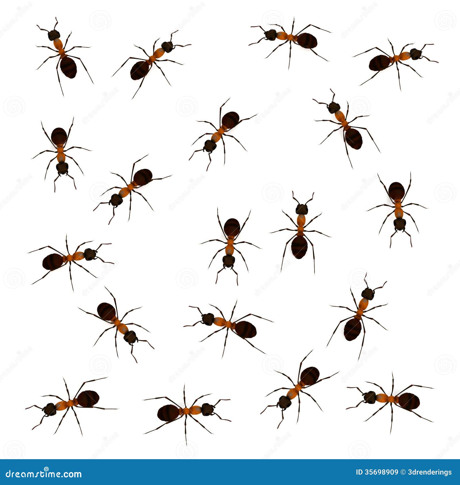 Render of formica rufa stock illustration. Illustration of rufa - 35698909