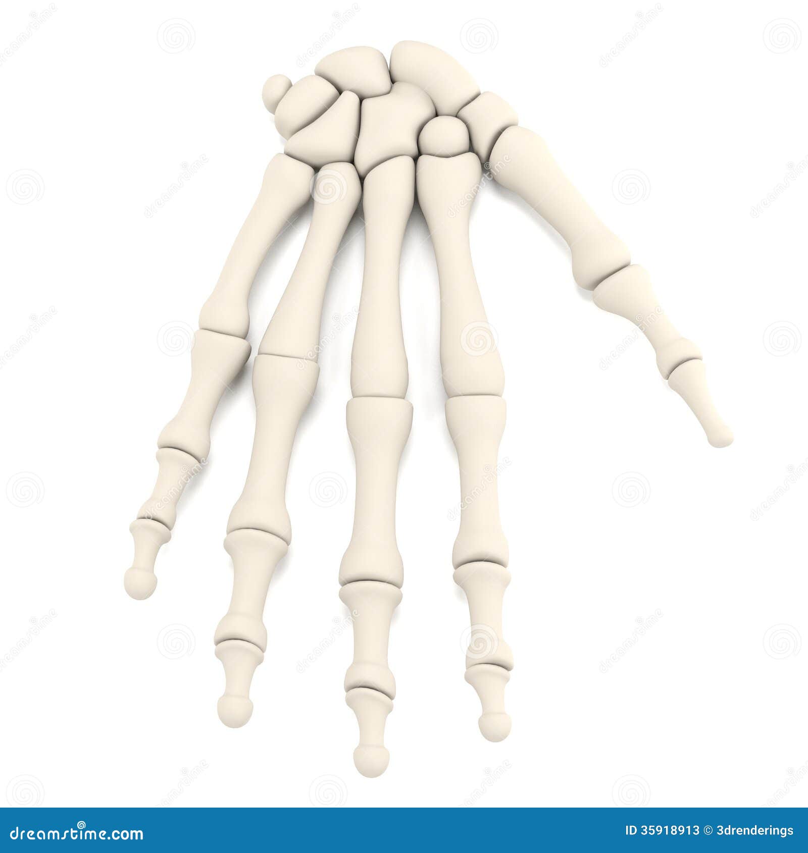 Render of hand bones stock illustration. Illustration of graphics ...