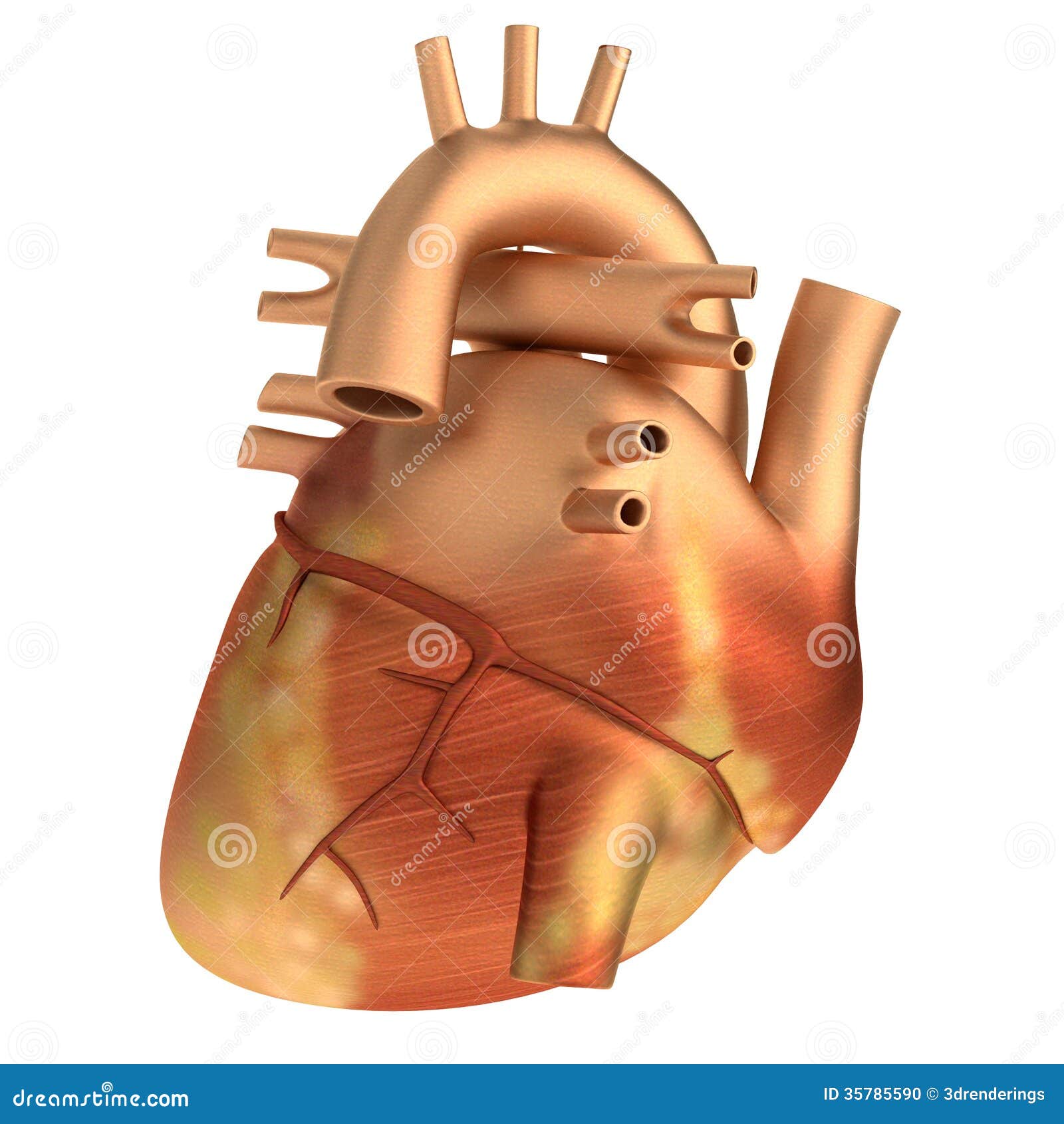 Render of human heart stock illustration. Illustration of graphics ...