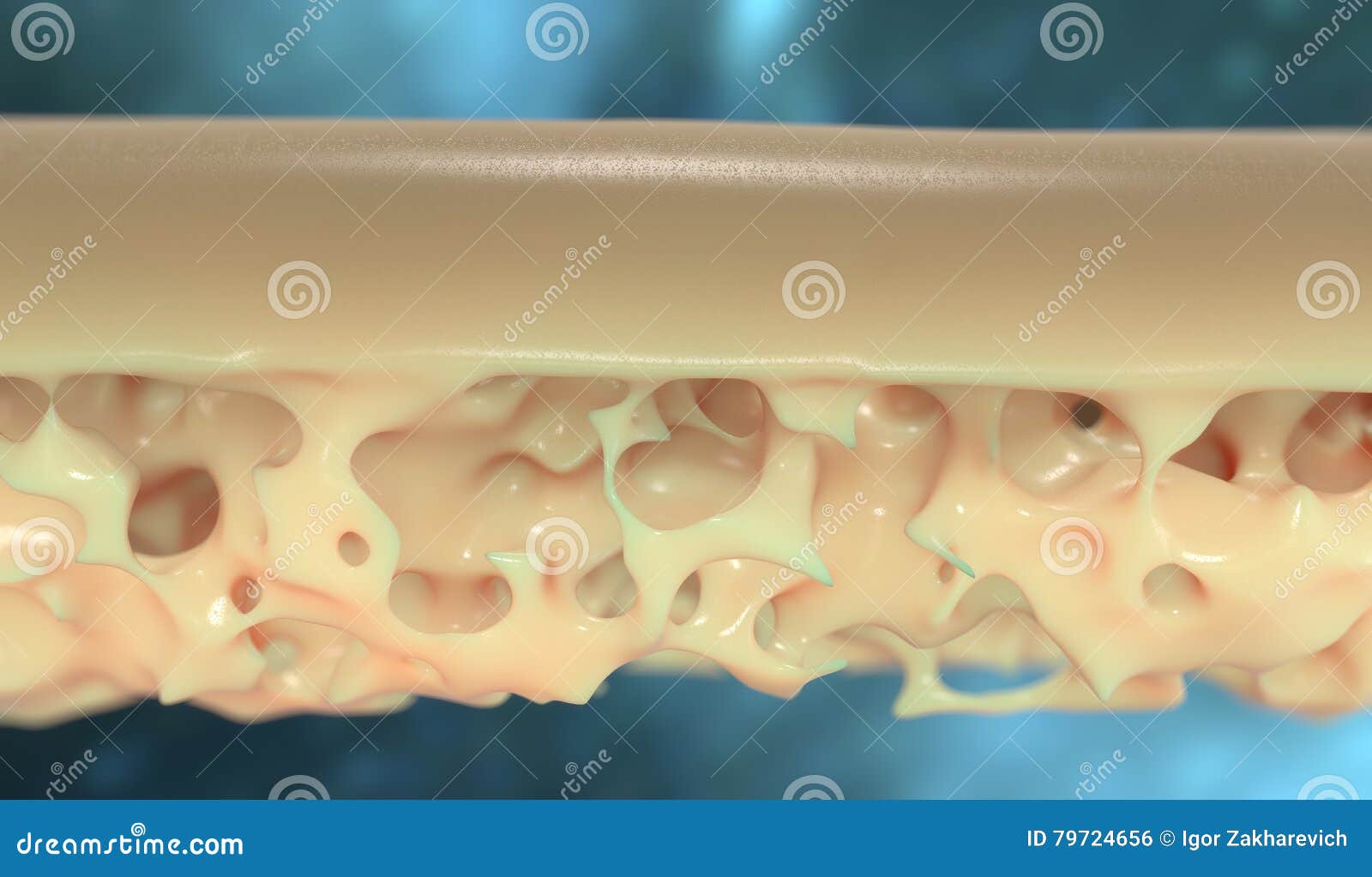Render Medical Illustration of the Bone Structure Stock Illustration ...
