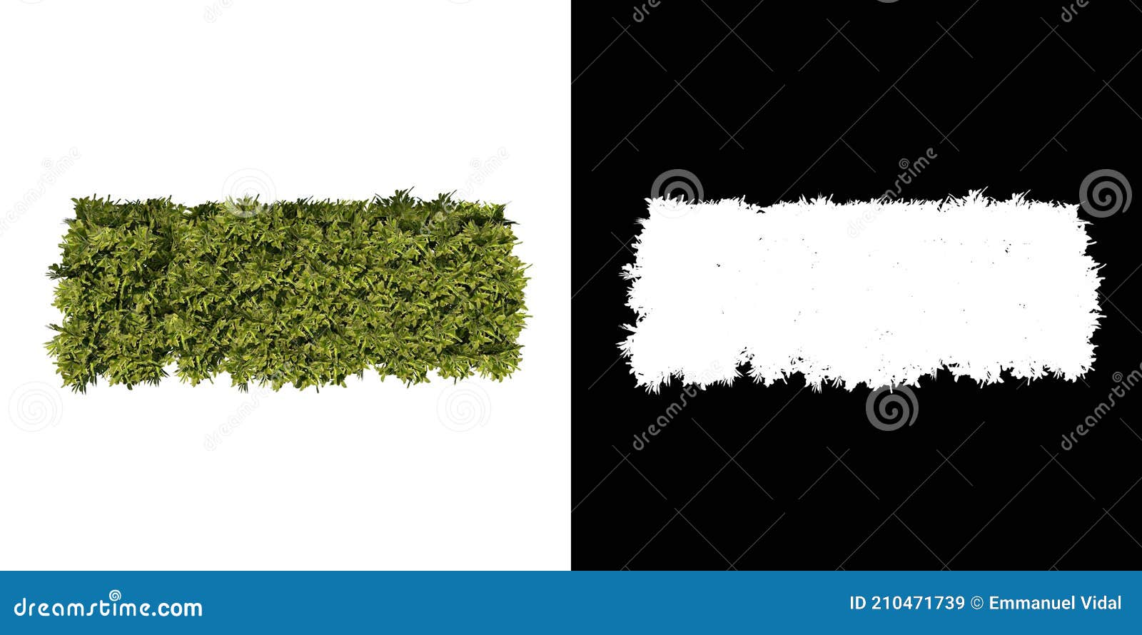 Front View of Plant Rectangular Bush 1 Tree Png with Alpha Channel To ...