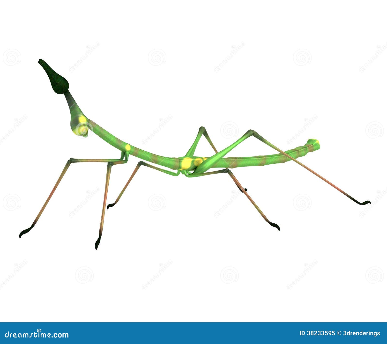 Stick Insect Black Silhouette Animal Vector Illustration ...