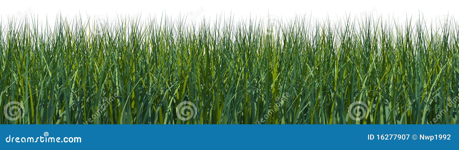 Rendered grass field stock illustration. Illustration of lawn - 16277907