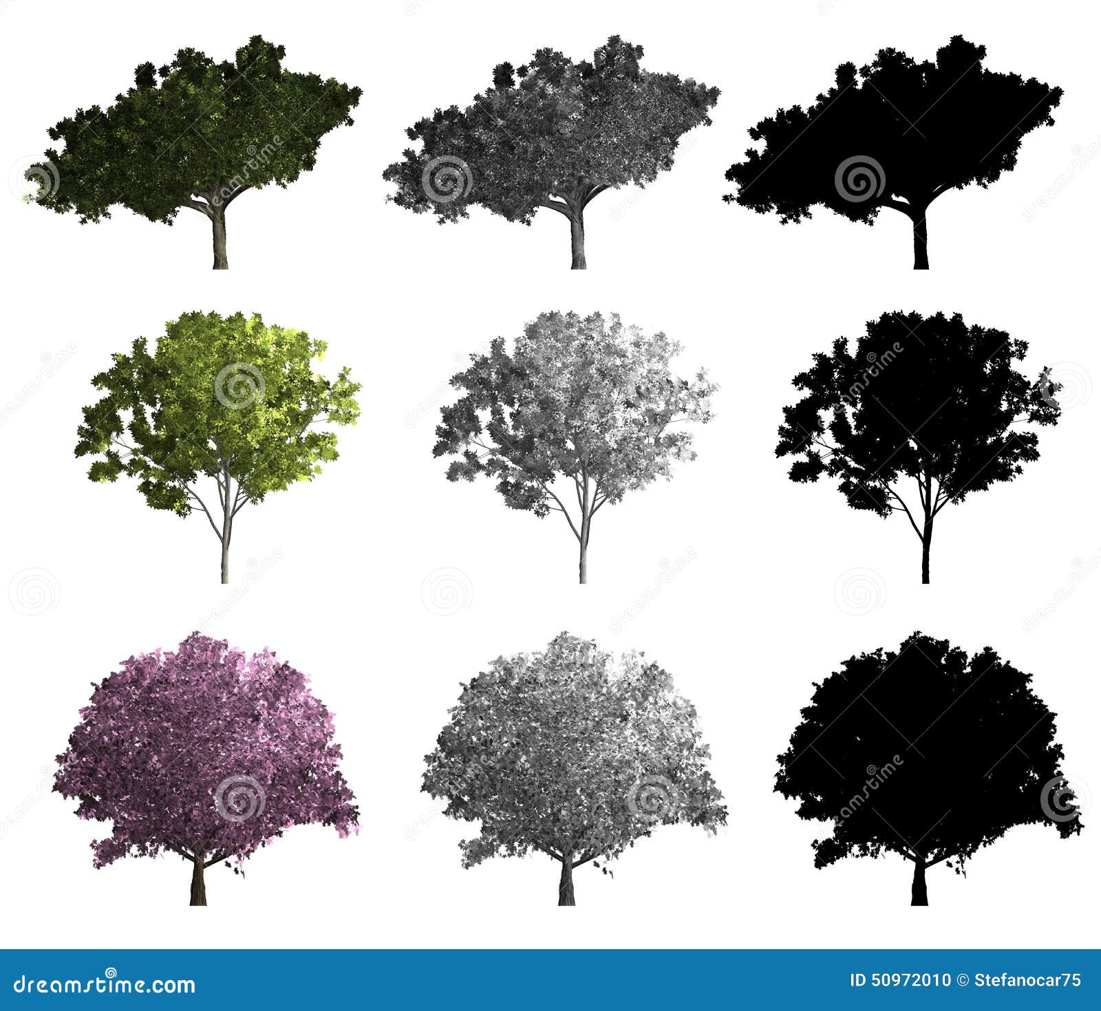 Rendering of Three Different Kinds of Trees Stock Illustration ...