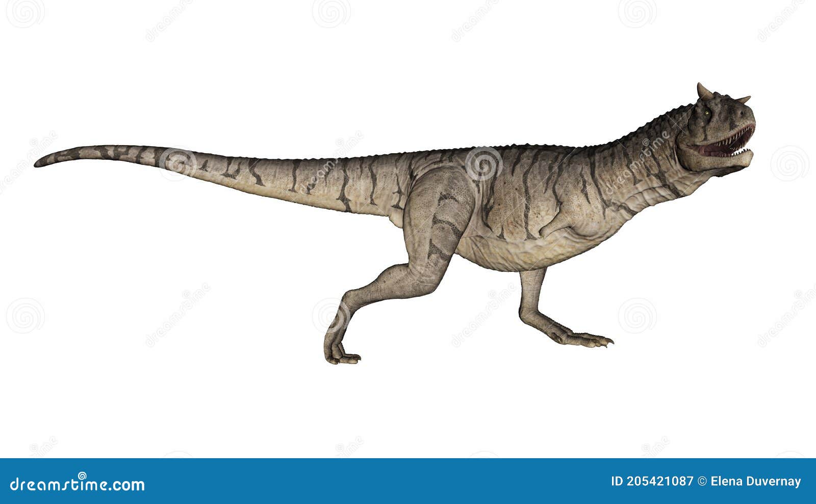 Renderização 3d Do Dinossauro Carnotaurus Ilustração Stock Ilustração