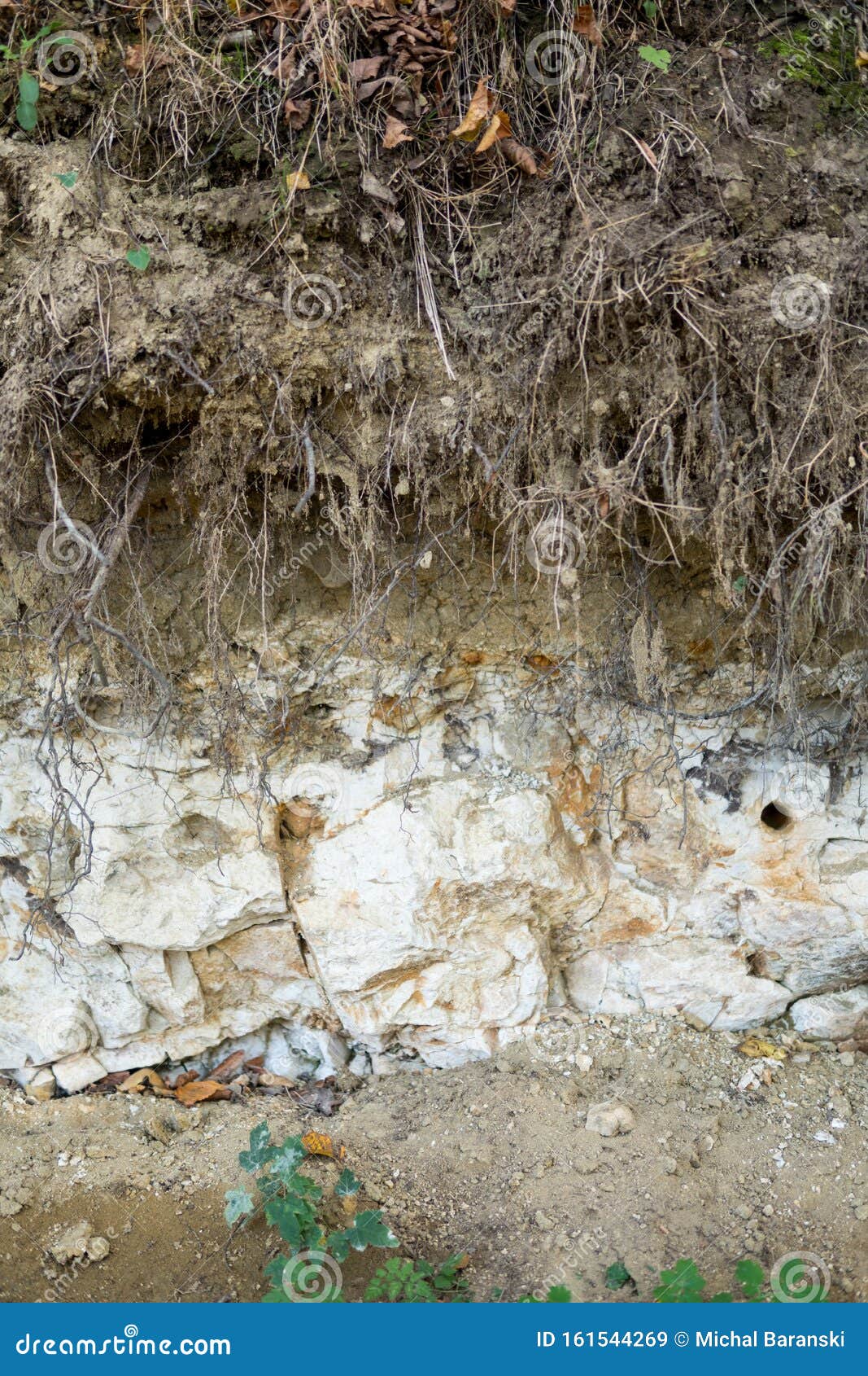 Rendzina soil stock image. Image of dolomite, surface - 161544269