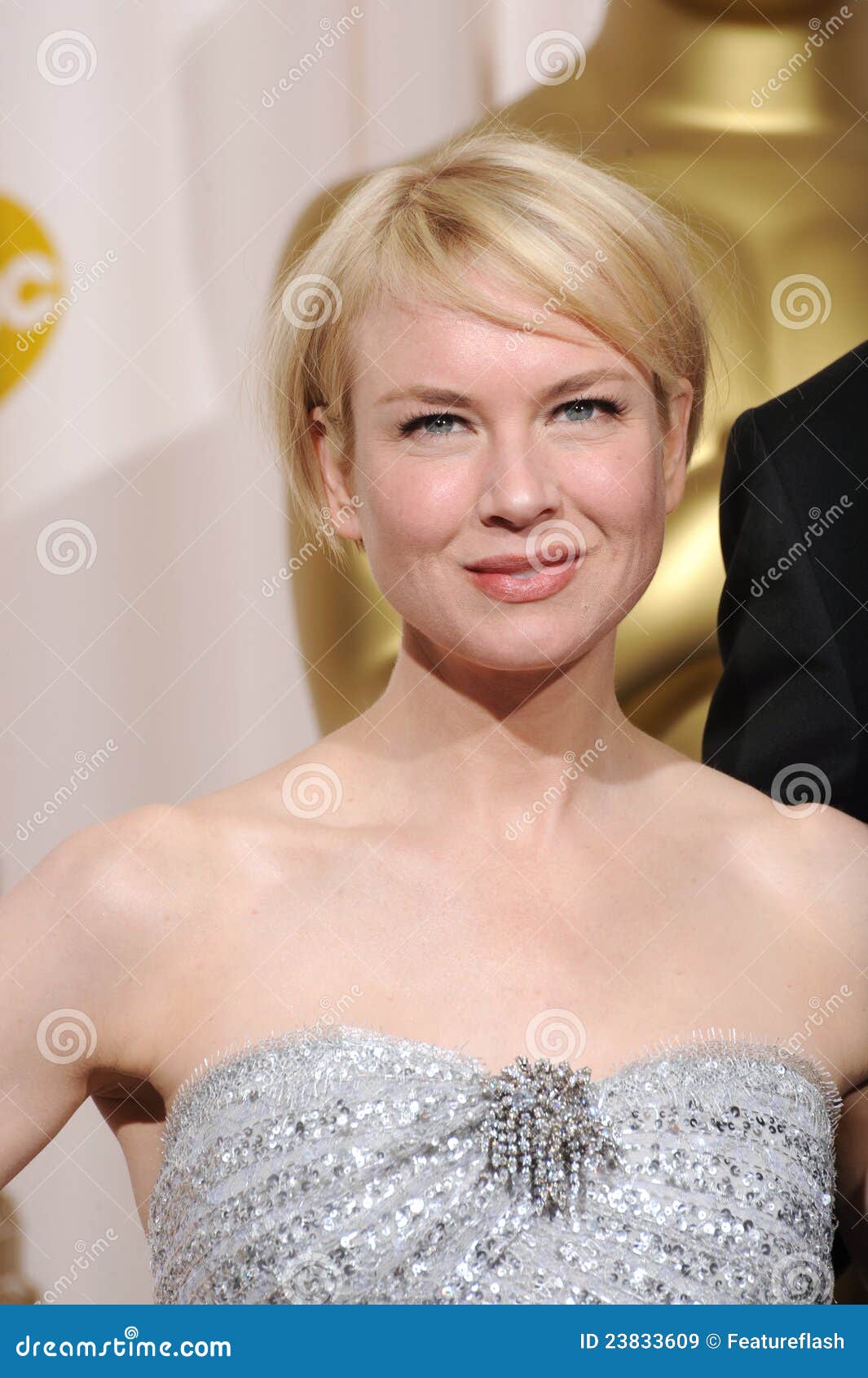 Renee Zellweger editorial stock image. Image of february - 23833609