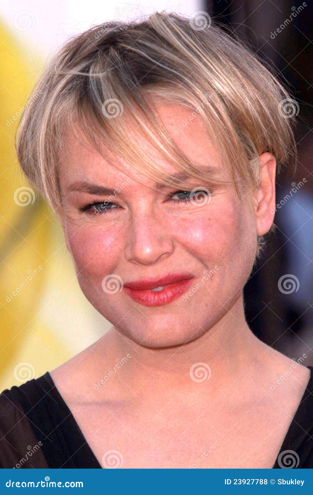 Renee Zellweger editorial stock photo. Image of angeles - 23927788