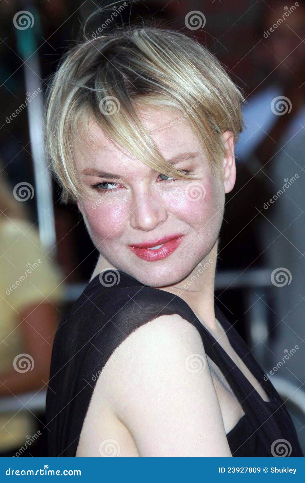 Renee Zellweger imagen de archivo editorial. Imagen de abeja - 23927809