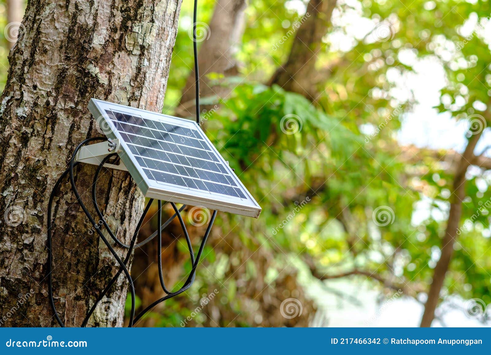 Renewable Energy Conception, Small Solar Panel Mounted on Tree, Blurred ...