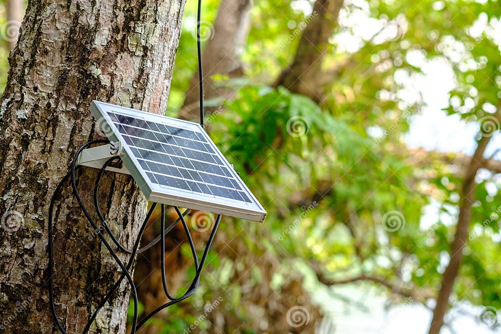 Renewable Energy Conception, Small Solar Panel Mounted on Tree, Blurred ...