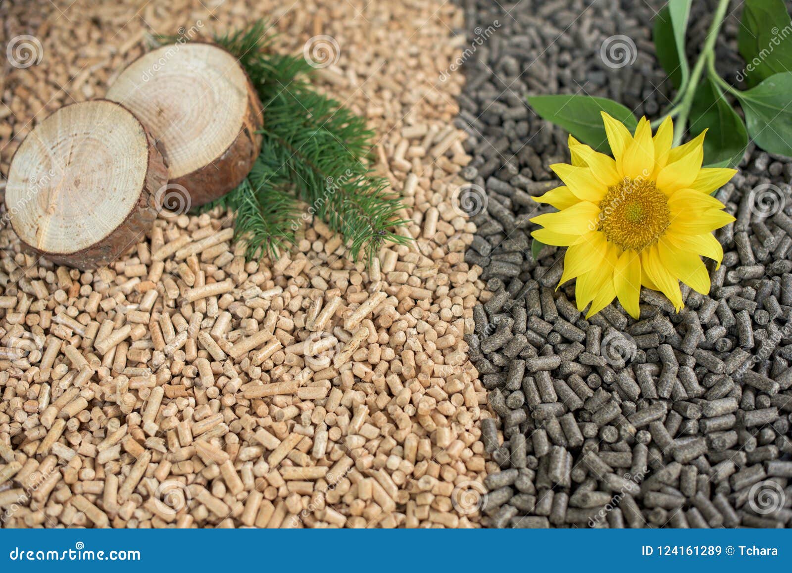 Two kind of pellets stock image. Image of forest, mass - 124161289